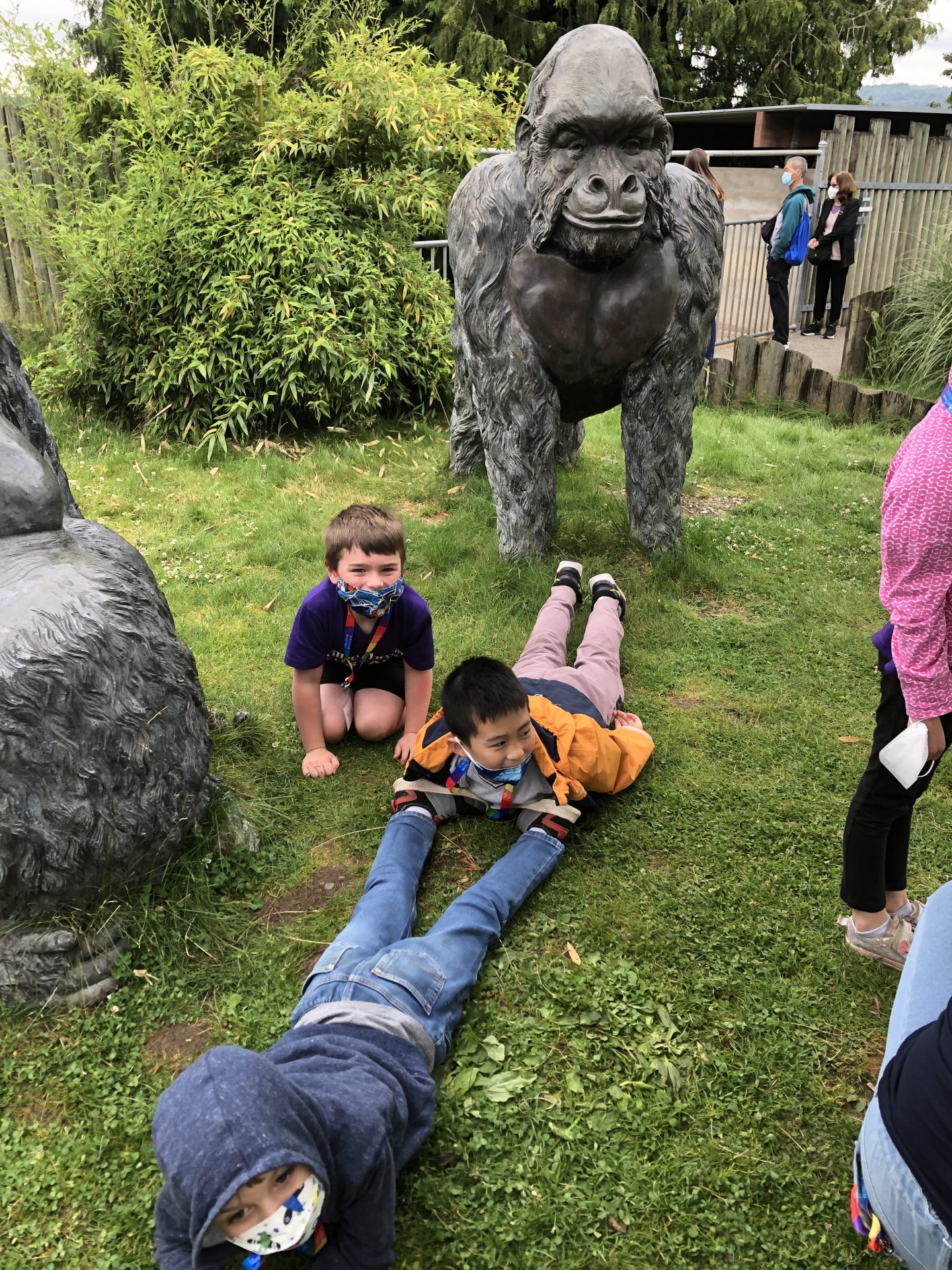 Summer Zoo Camps - Village Theatre KIDSTAGE