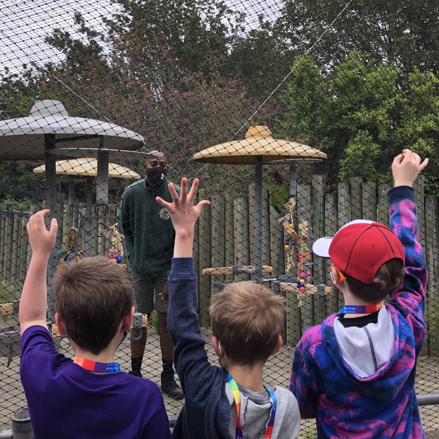 KIDSTAGE Zoo Camps - Village Theatre