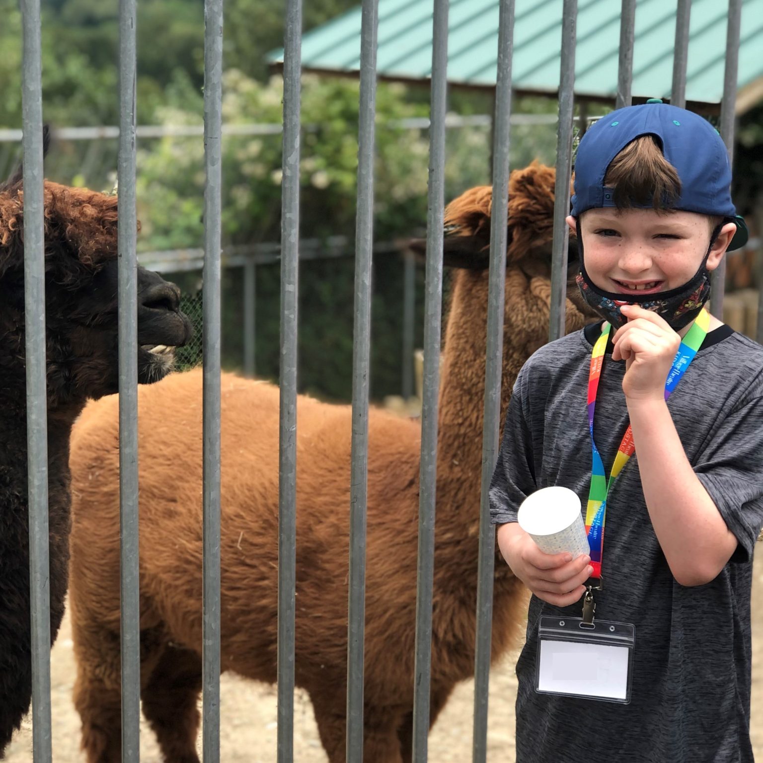 KIDSTAGE Zoo Camps - Village Theatre